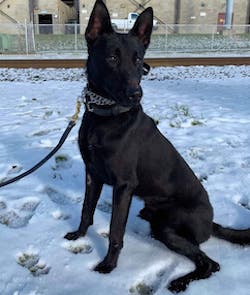 Police Department - Fayetteville, WV : Fayetteville, WV